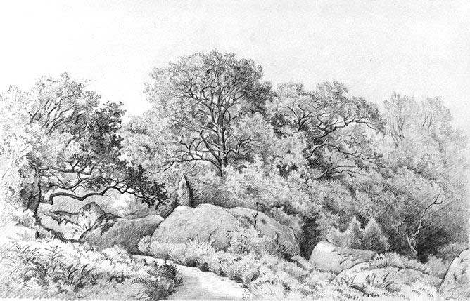 What To Draw As A Beginning Artist Pick The Right Subject